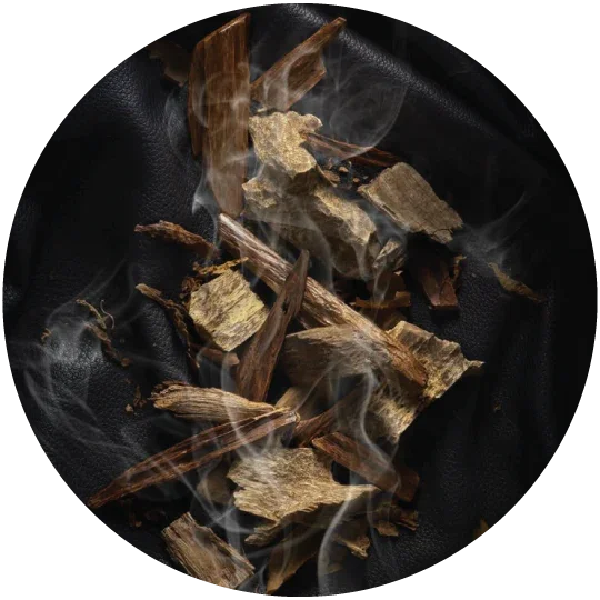 Leather & Smoke – SARBAANI